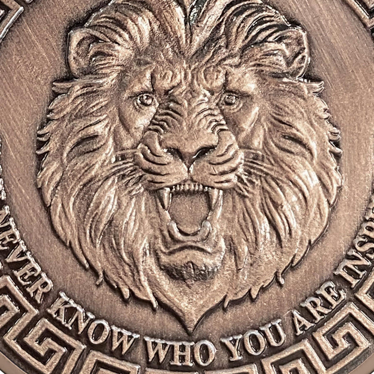 Symbol of Courage and Strength Lion Sword and Shield Challenge Coin ...